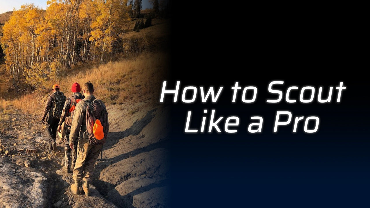 How to Scout Like a Pro: Tools and Techniques for Successful Hunts ...